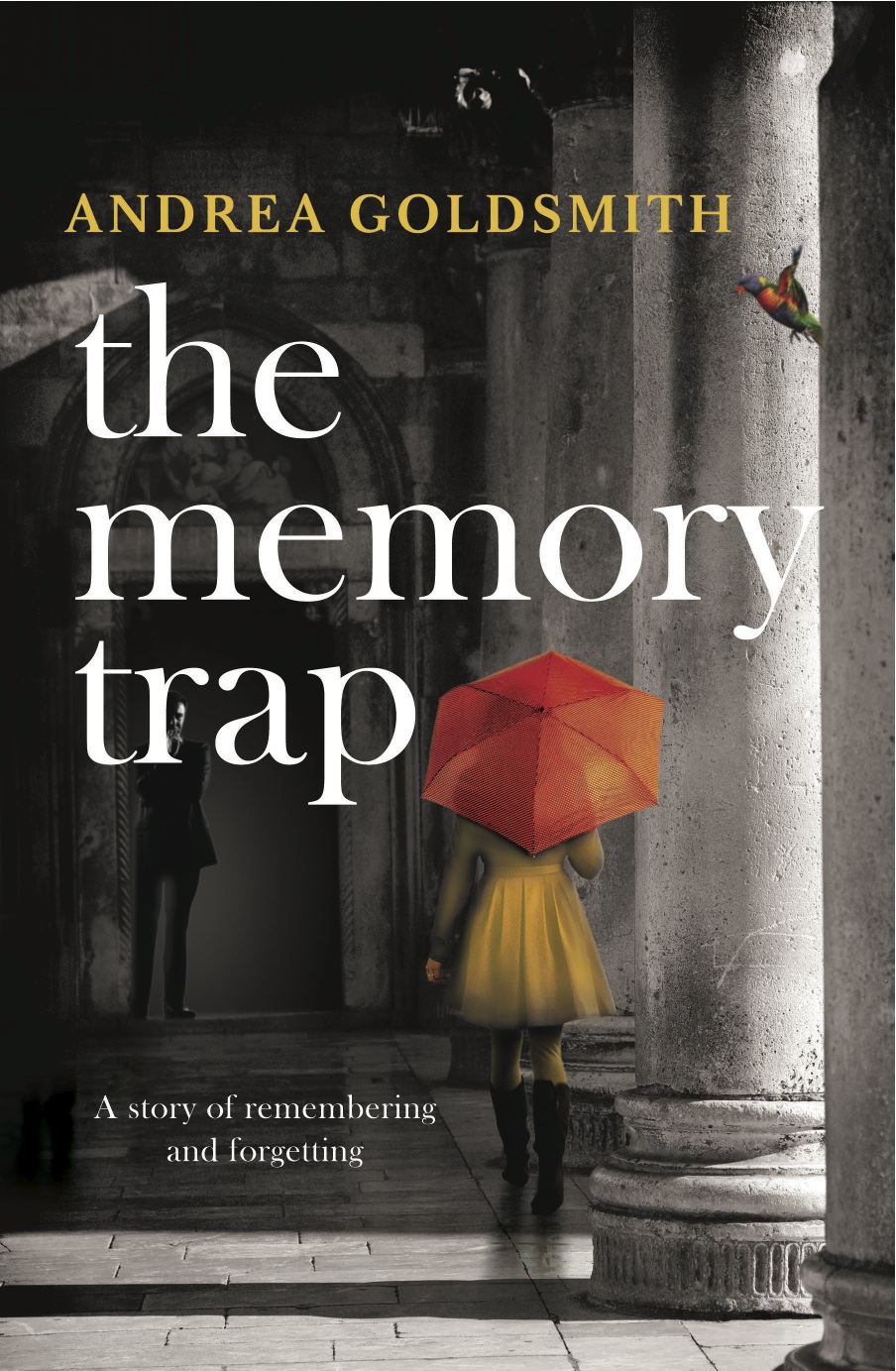 THE MEMORY TRAP | Andrea Goldsmith